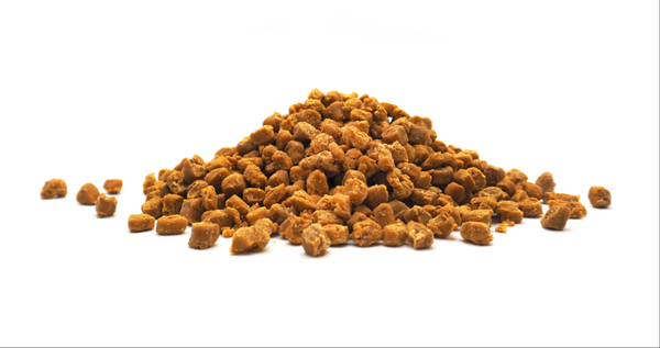 Mini friandises au fromage 100g – Pawzitive